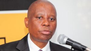 Herman Mashaba Net Worth, Age, Height, Weight, Early Life, Career, Bio ...