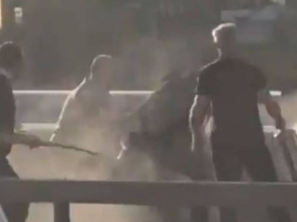 Steven Gallant Net Worth, Age, Height, Weight, Early Life, Career, Bio ...