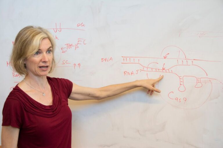 Professor Jennifer Doudna Net Worth, Age, Height, Weight, Early Life ...