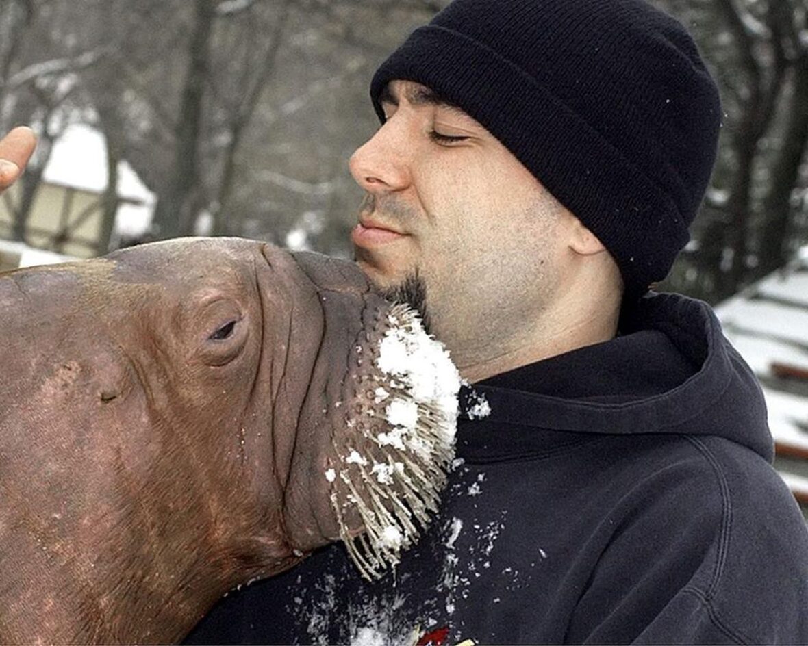 Phil Demers Net Worth, Age, Height, Weight, Early Life, Career, Dating ...