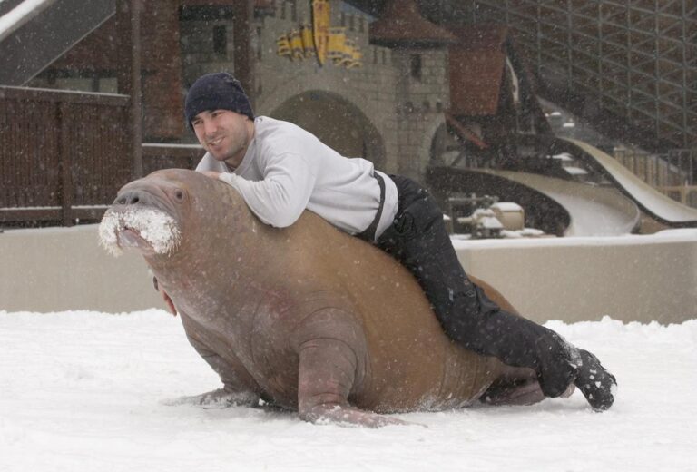 Phil Demers Net Worth, Age, Height, Weight, Early Life, Career, Dating ...