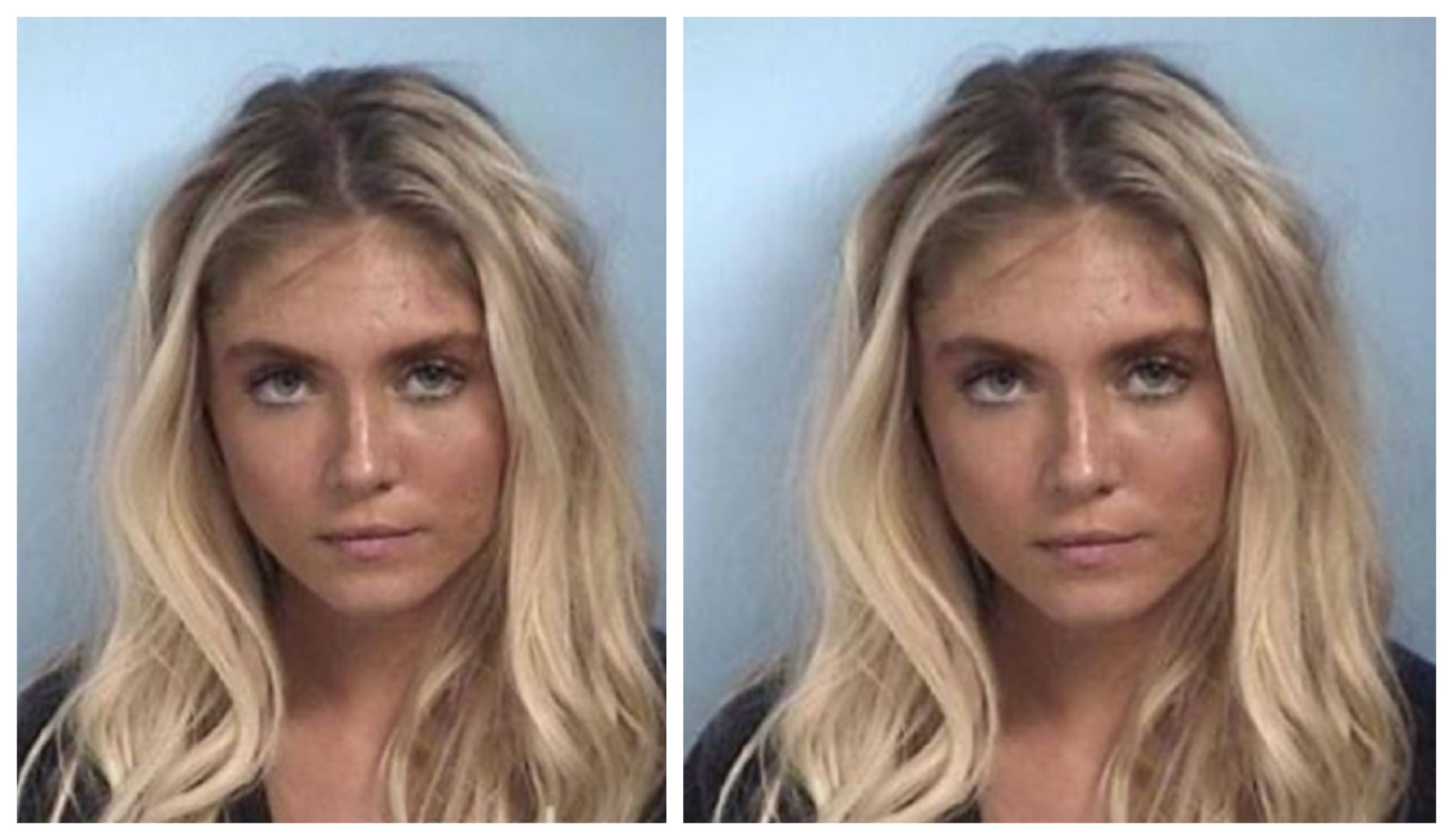 Who Is Samantha Nesslein? Arrested Reports and Charges Explained ...